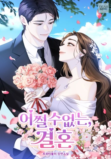 An Inevitable Marriage - Novel Updates