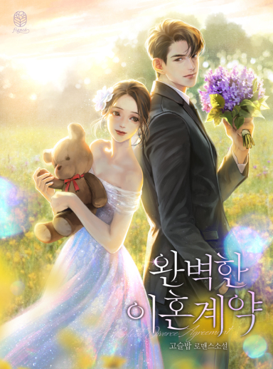 The Perfect Divorce Contract - Novel Updates