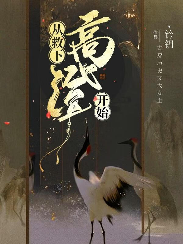 The Female Official of the Great Qi Dynasty - Novel Updates