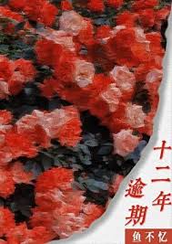 Overdue Twelve Years - Novel Updates